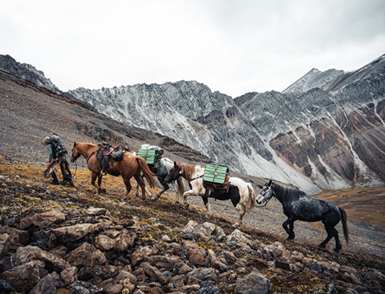 Global Rescue & Wild Sheep Foundation