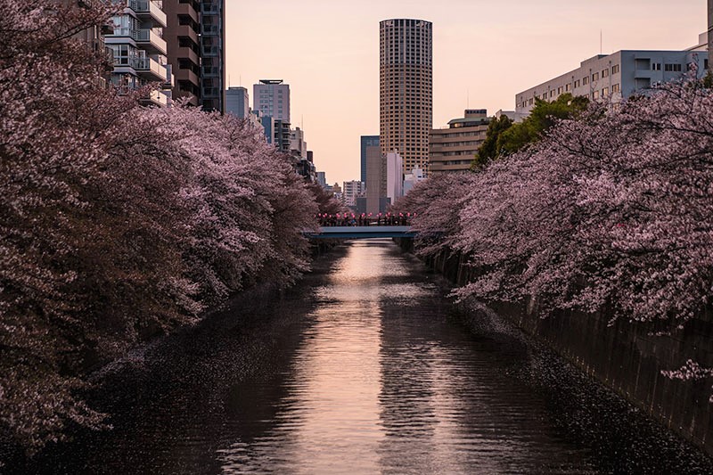 10 Post-Pandemic Travel Destinations We’re Dreaming About